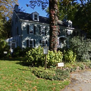 THE DEVIL’S TREE - Updated June 2024 - Mountain Rd, Basking Ridge, New ...