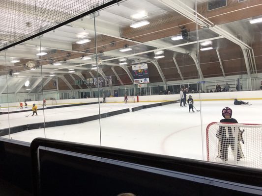 HAMILTON CENTER ICE ARENA - Updated September 2025 - 2501 Lincoln Park ...