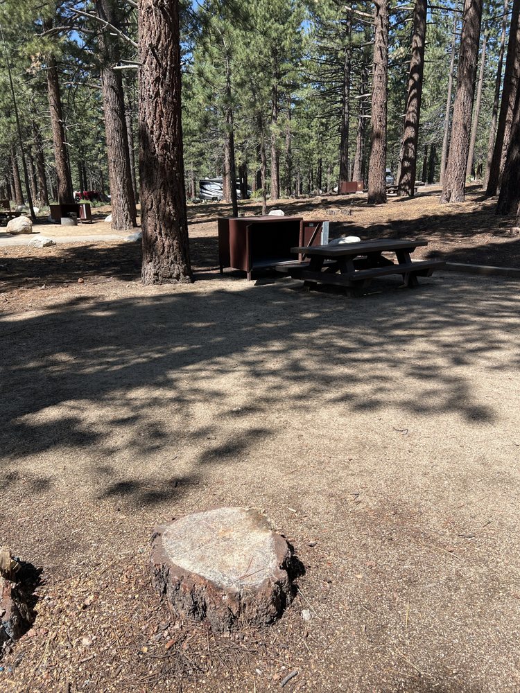 NEW SHADY REST CAMPGROUNDS - Updated June 2025 - 27 Photos & 21 Reviews ...