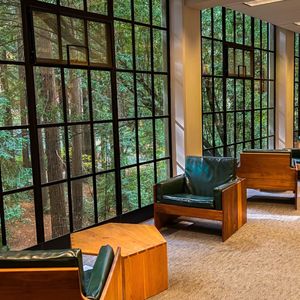 CORTE MADERA LIBRARY - 24 Reviews - 707 Meadowsweet Dr, Corte Madera ...