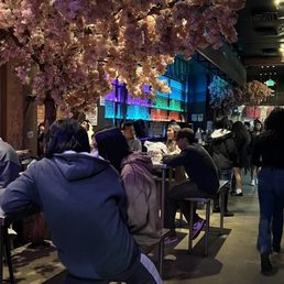 SAKU RAMEN - Updated September 2025 - 716 Photos & 957 Reviews - 3643 ...