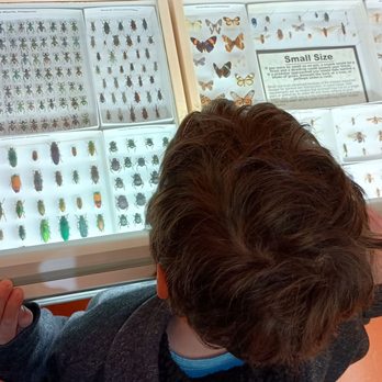 INSECTROPOLIS - Updated October 2025 - 101 Photos & 28 Reviews - 1761 ...