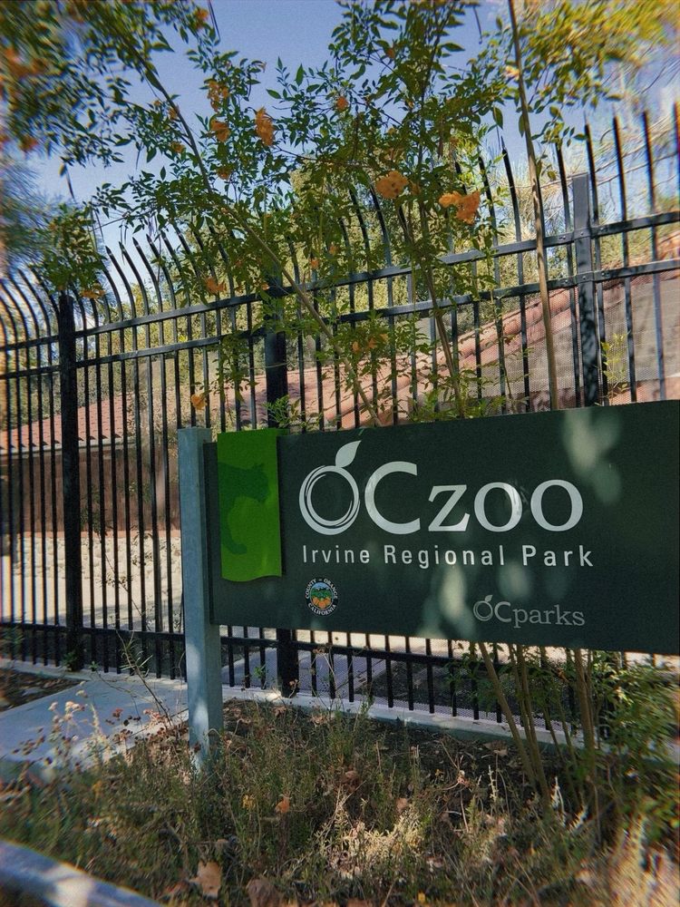 OC ZOO IRVINE REGIONAL PARK - Updated February 2025 - 56 Photos & 29 ...