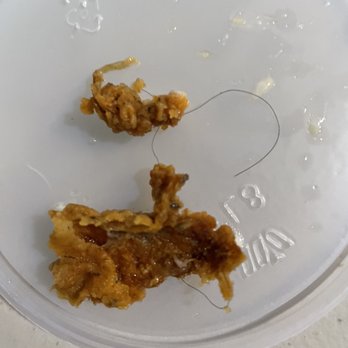 Candida Roots In Stool