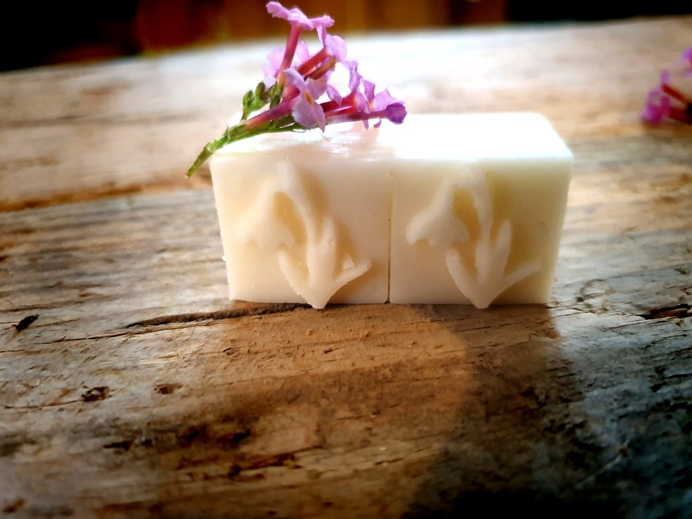 THE SNOWDROP CANDLE COMPANY - Waverley Terrace, Bonnyrigg, Midlothian ...