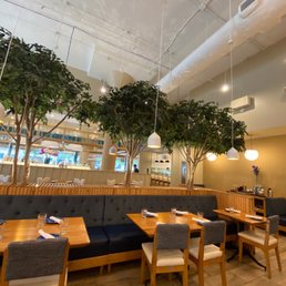 THE FINCH - Updated November 2024 - 272 Photos & 186 Reviews - 5307 ...