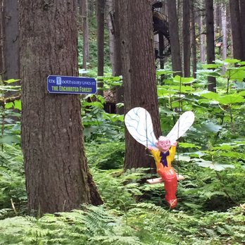 THE ENCHANTED FOREST - Updated August 2025 - 39 Photos & 13 Reviews ...