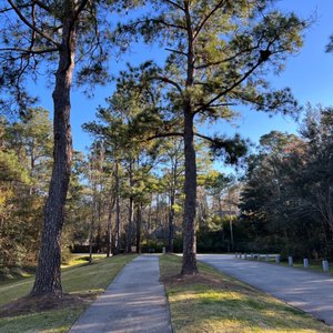 COLLINS PARK - Updated December 2025 - 46 Photos & 36 Reviews - 6727 ...
