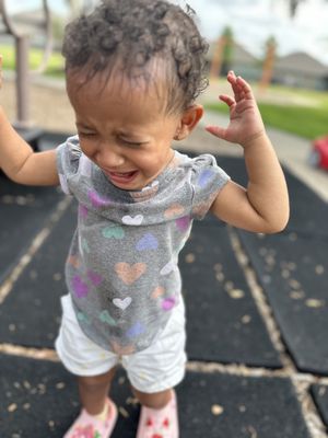 CREST MANAGEMENT COMPANY - Updated December 2025 - 75 Photos & 95 ...