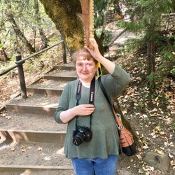 HOUSE OF MYSTERY AT THE OREGON VORTEX - 110 Photos & 72 Reviews - 4303 ...