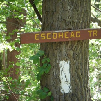 ESCOHEAG TRAIL - Updated December 2025 - 20 Photos - Escoheag Hill Rd ...