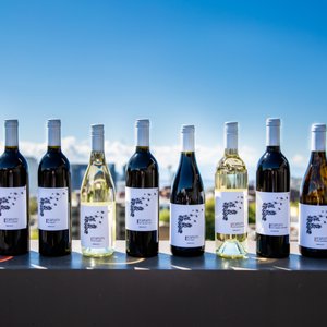 CLAAR CELLARS WINERY - Updated January 2025 - 1001 Vintage Valley Pkwy ...