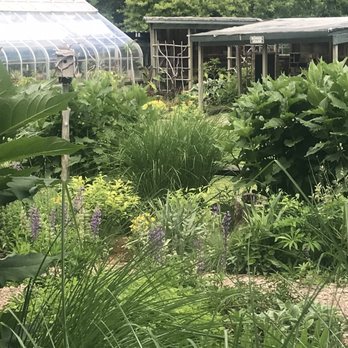 BERKSHIRE BOTANICAL GARDEN - Updated June 2025 - 198 Photos & 37 ...