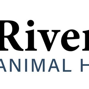 STEVENS ANIMAL HOSPITAL - Updated December 2025 - 35 Photos & 64 ...