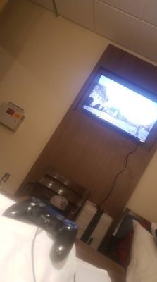 TRELLIS CHINO - Updated August 2025 - 18 Photos & 56 Reviews - 5454 ...