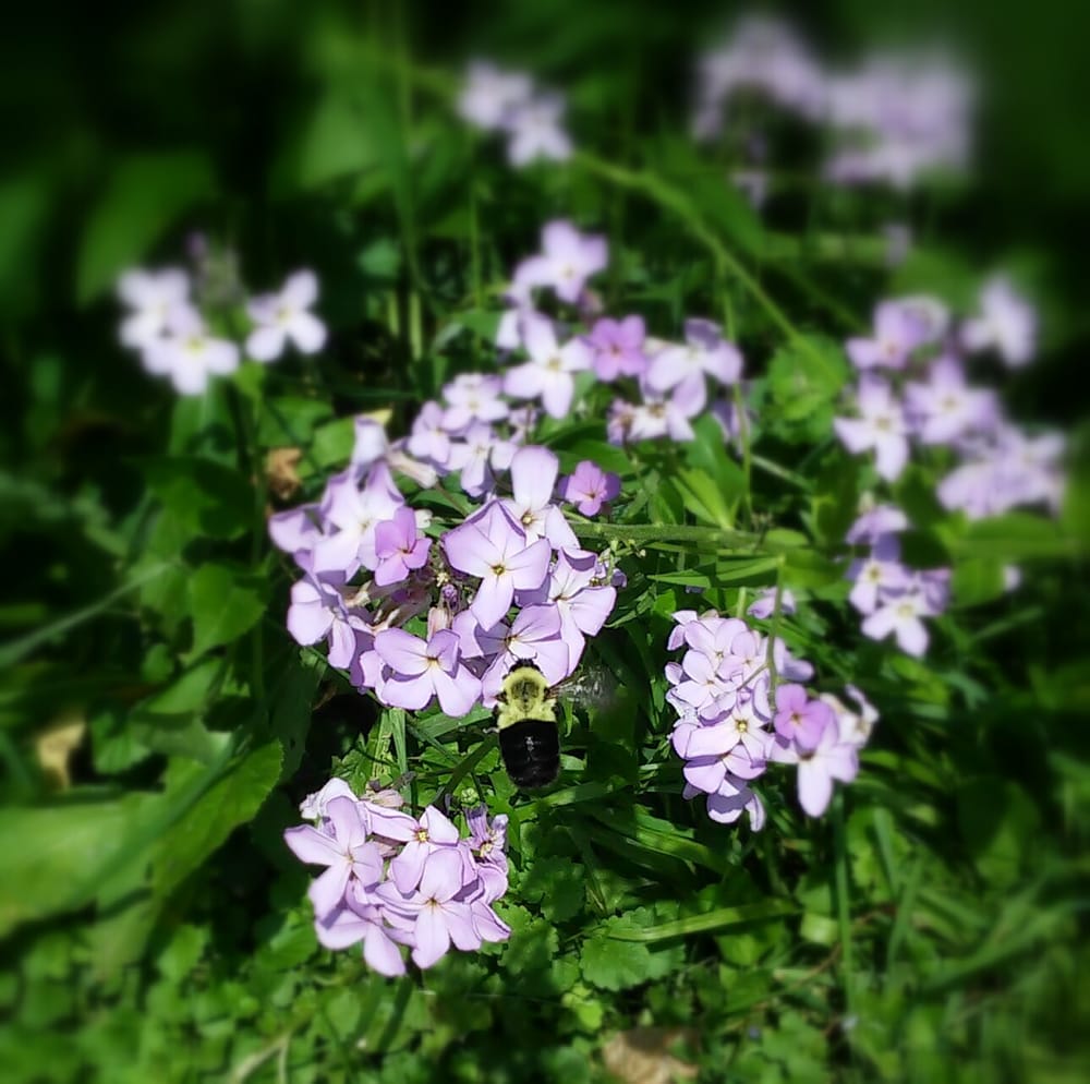 COLONIAL PARK - Updated October 2025 - 32 Photos - 2300 W High St ...