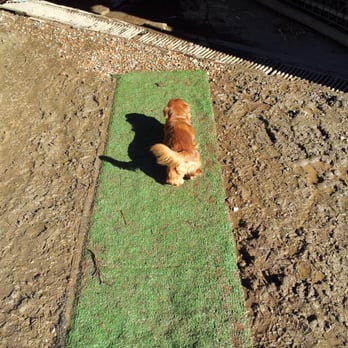 GOLDEN RIDGE ANIMAL FARM - Updated April 2024 - 686 Old Northern Rd ...