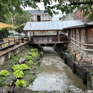 LOFLIN YARD - 268 Photos & 220 Reviews - 7 W Carolina Ave, Memphis ...