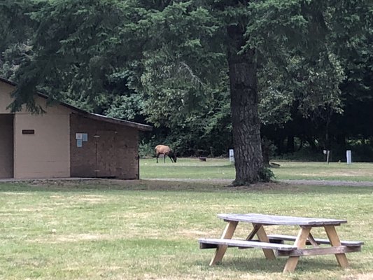 CASCADE PEAKS - Updated July 2024 - 21 Reviews - 11519 US Hwy 12 ...