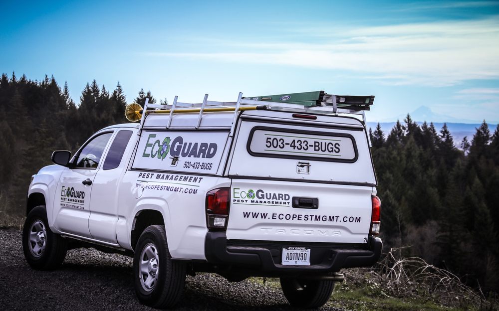 ECOGUARD PEST MANAGEMENT - Updated August 2024 - 21 Photos & 90 Reviews ...