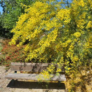 WALNUT CREEK NATURE PARK - Updated December 2024 - 72 Photos & 11 ...