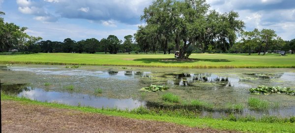 LANSBROOK GOLF CLUB - Updated August 2025 - 19 Photos & 40 Reviews ...