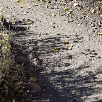 CALLAHAN PARK - Updated October 2025 - 76 Photos & 12 Reviews - 15960 ...