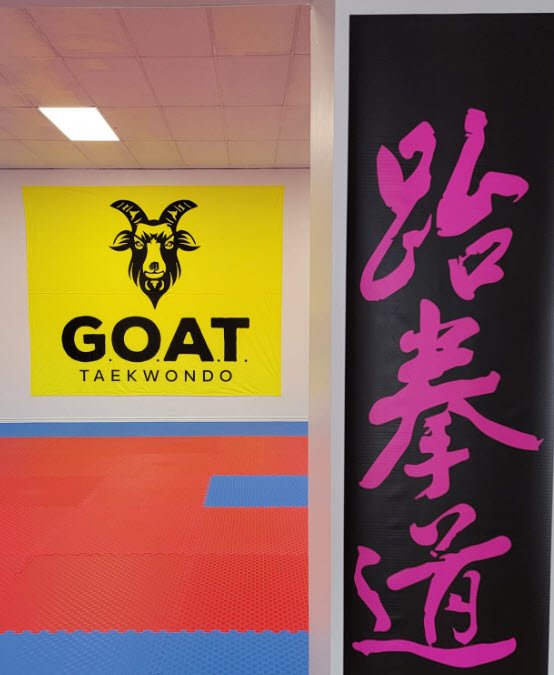GOAT TAE KWON DO - Updated July 2025 - 10 Talbot Street S, Essex ...