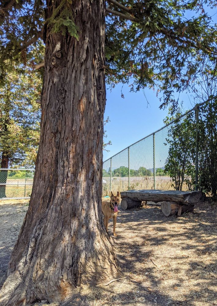 ROBERT’S LAKE - Updated September 2024 - 23 Photos & 22 Reviews - 5010 ...