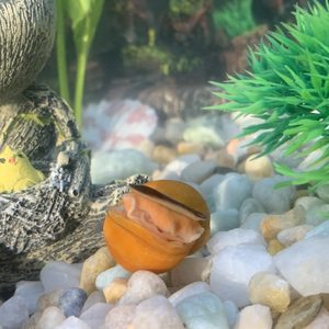 THE FISH ROOM - Updated December 2025 - 23 Photos & 40 Reviews - 5205 ...