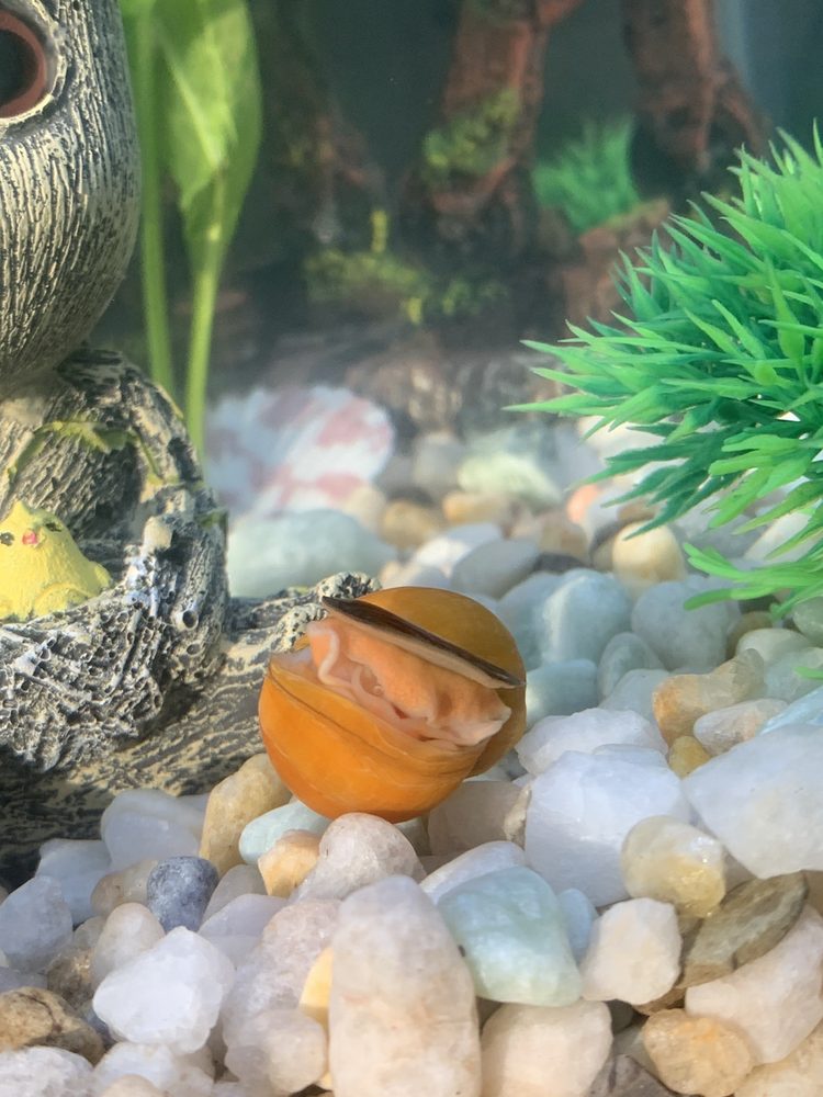 THE FISH ROOM - Updated December 2025 - 13 Photos & 42 Reviews - 1259 ...