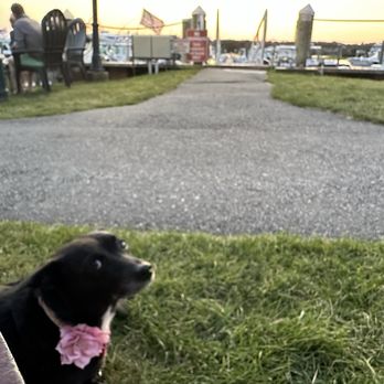 SUMMER SHANTY - Updated June 2025 - 160 Photos & 258 Reviews - 140 Main ...