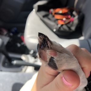 MAR VISTA ANIMAL MEDICAL CENTER - 17 Photos & 121 Reviews - 3850 Grand ...