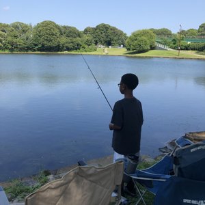 HEMPSTEAD LAKE STATE PARK - 326 Photos & 30 Reviews - Rockville Centre ...