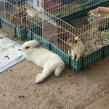 STIERN VETERINARY HOSPITAL - Updated December 2025 - 38 Photos & 72 ...