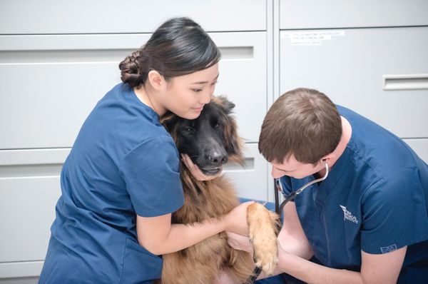 PIMA MEDICAL INSTITUTE - RENTON - Updated January 2026 - 10 Photos & 36 ...