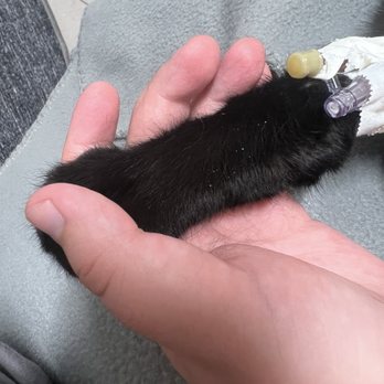 VETERINARY EMERGENCY GROUP - Updated February 2026 - 31 Photos & 15 ...