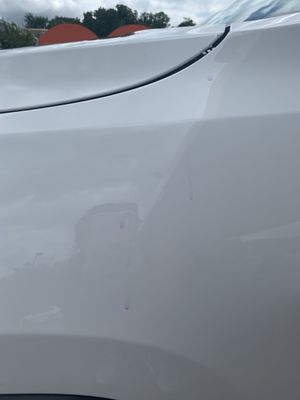 WASHTOPIA - Updated July 2024 - 44 Photos & 47 Reviews - 3925 Lebanon ...