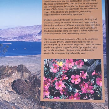 RIVER MOUNTAINS LOOP TRAIL - Updated June 2024 - 342 Photos & 28 ...