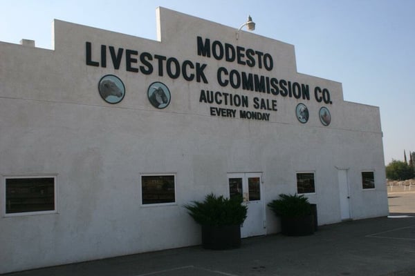 MODESTO LIVESTOCK AUCTION & FLEA MARKET - Updated October 2025 - 13 ...