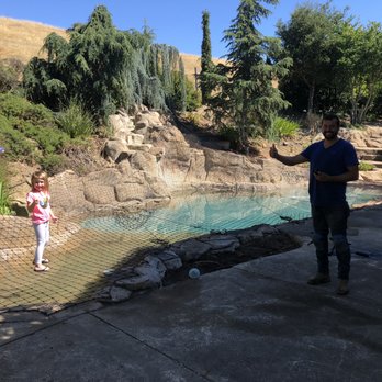 BABY PROOF POOL SAFETY SYSTEMS - Updated July 2024 - 33 Photos & 55 ...