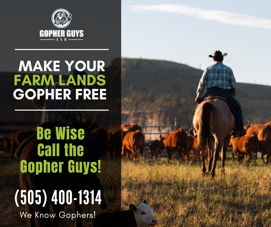 GOPHER GUYS - Updated July 2025 - 11 Photos - 2115 Coba Rd SE, Rio ...