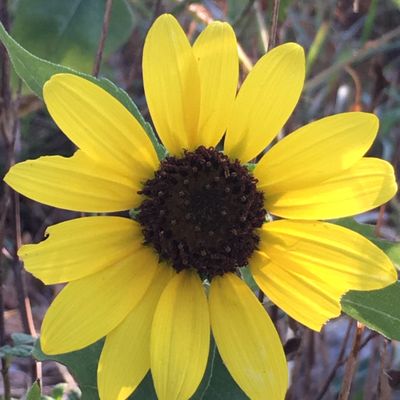 MAMMEN FAMILY PUBLIC LIBRARY - Updated October 2025 - 26 Photos - 131 ...