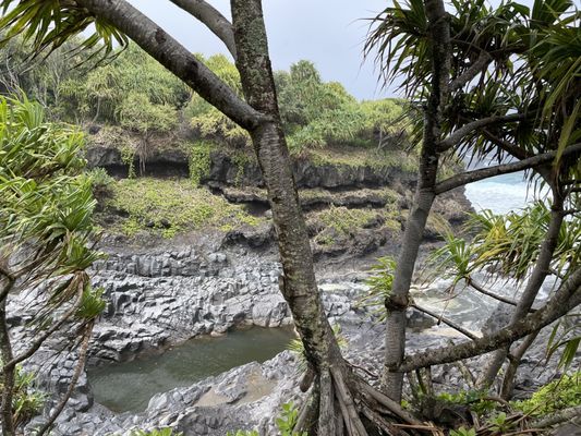 BAMBOO FOREST - Updated January 2026 - 118 Photos & 62 Reviews - Hana ...