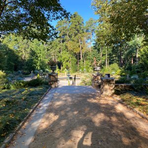 COOK OUT - 36 Photos & 122 Reviews - 3624 Hillsborough Rd, Durham, NC ...