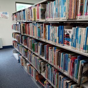 MARY CHENEY LIBRARY - Updated January 2025 - 21 Photos & 11 Reviews ...