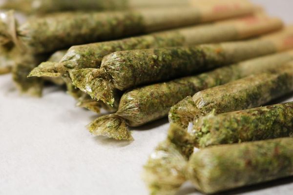 JARS CANNABIS - Updated February 2025 - 77 Photos - 3345 W County 15th ...