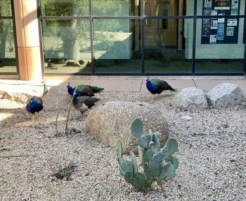 GLENDALE PUBLIC LIBRARY - Updated October 2025 - 89 Photos & 21 Reviews ...