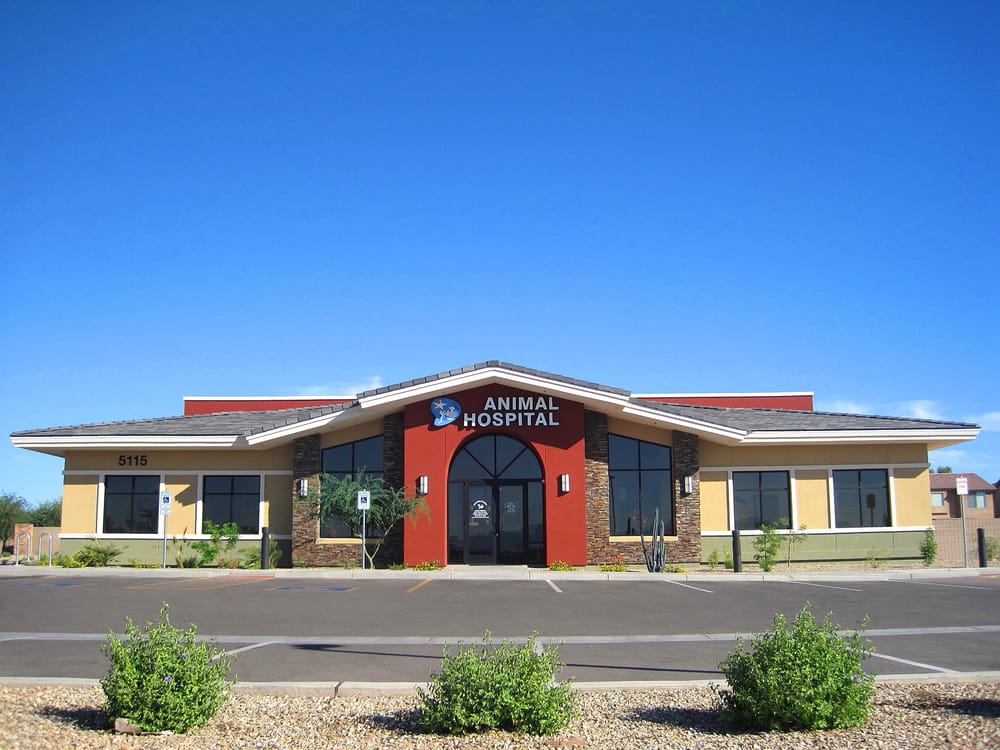 DREAMING SUMMIT ANIMAL HOSPITAL - Updated December 2025 - 43 Photos ...