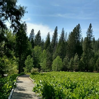 PIPI CAMPGROUND - Updated October 2025 - 123 Photos & 46 Reviews ...